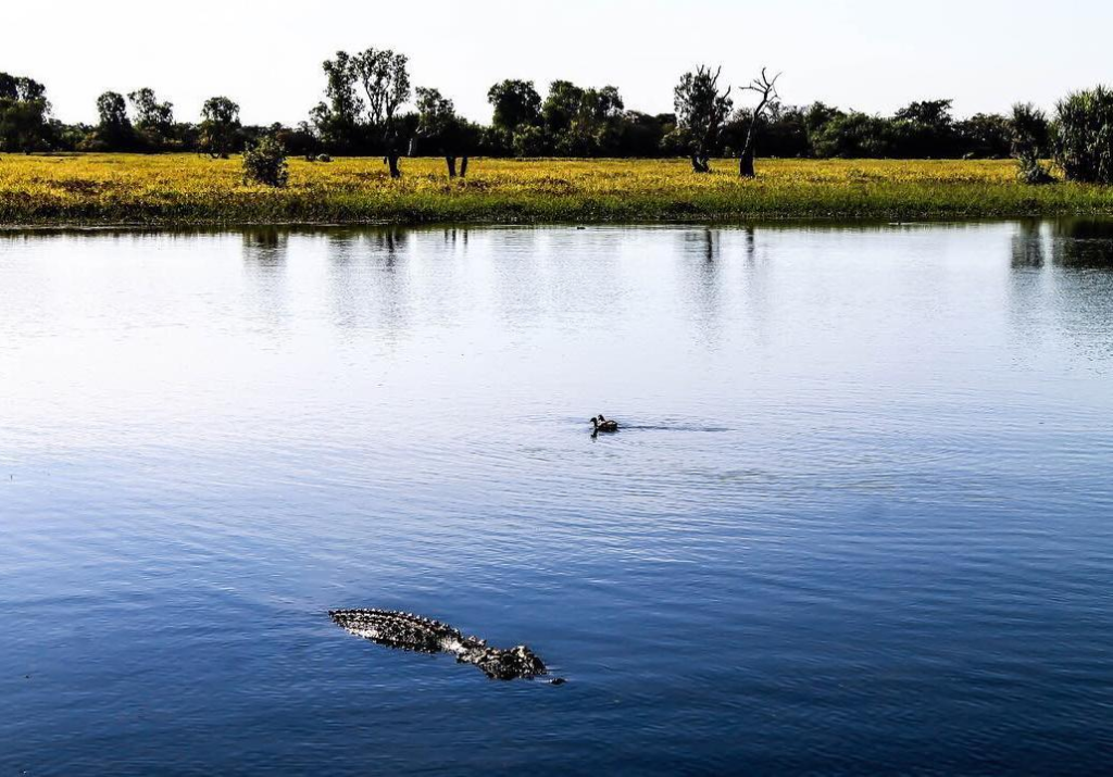 Best Night-Time Wildlife Safaris In Australia For 2026: Where The Bush ...
